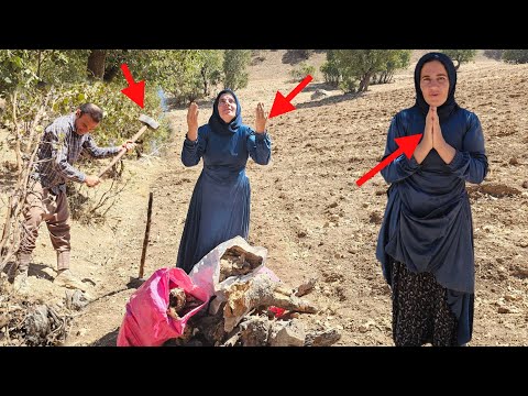It's unbelievable!😍Susan and her husband came back with a huge pile of firewood🪓