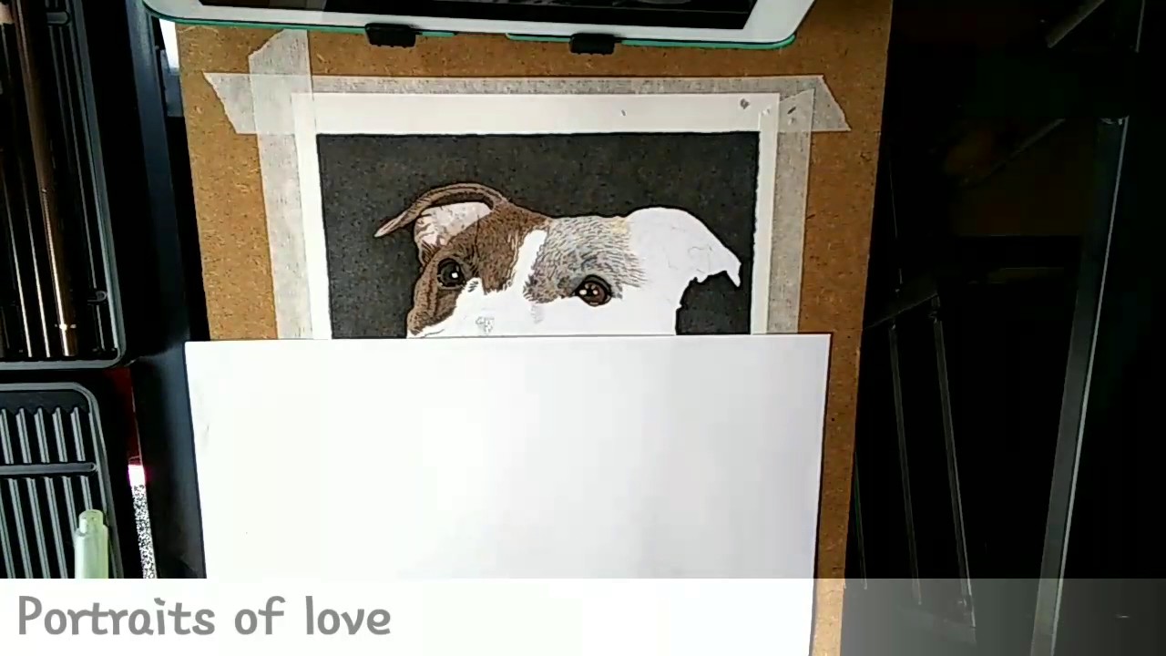 How to Draw a Staffy in colour - YouTube