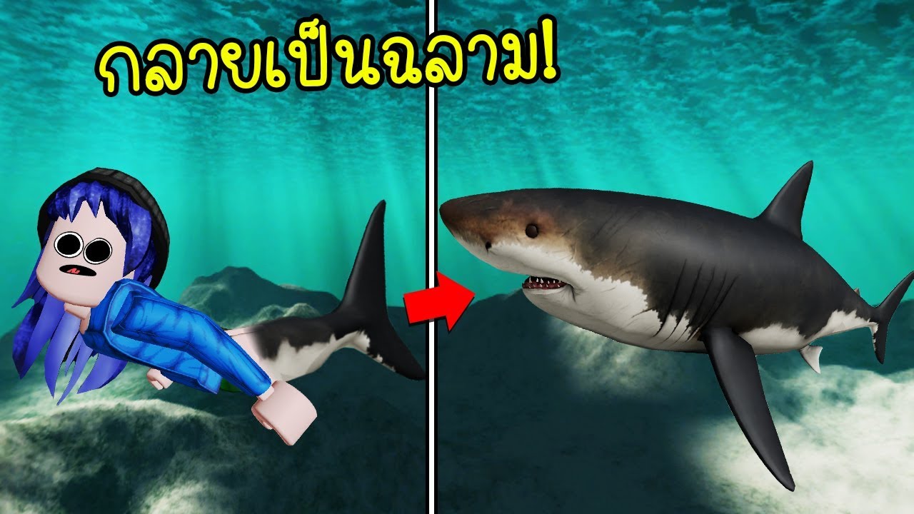 ถ้าเกิดเรากลายเป็น..ฉลามจะเป็นยังไง? | Roblox High Tide - YouTube