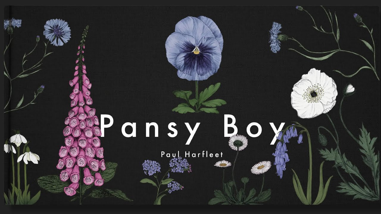 Pansy Boy Book Trailer - YouTube