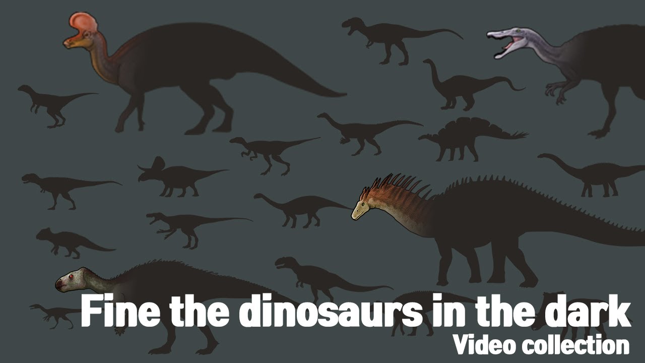 Discover the dinosaurs in the dark | Video collection 4 | What kind of ...