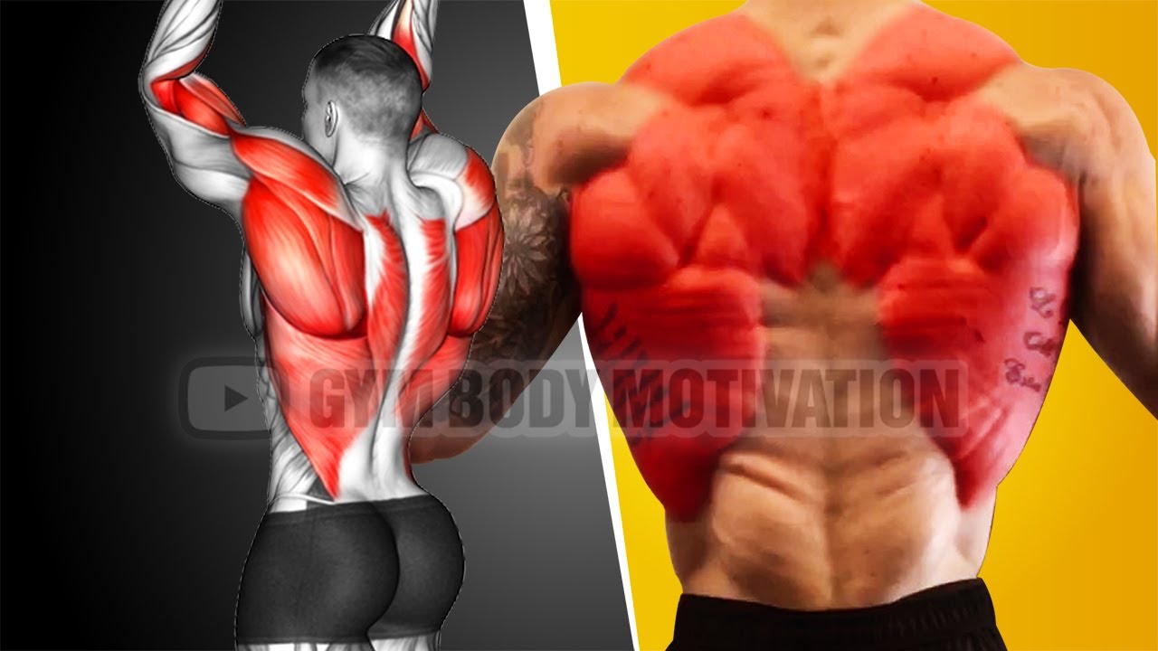 6 Movements To Build A Bigger Back - Gym Body Motivation - YouTube