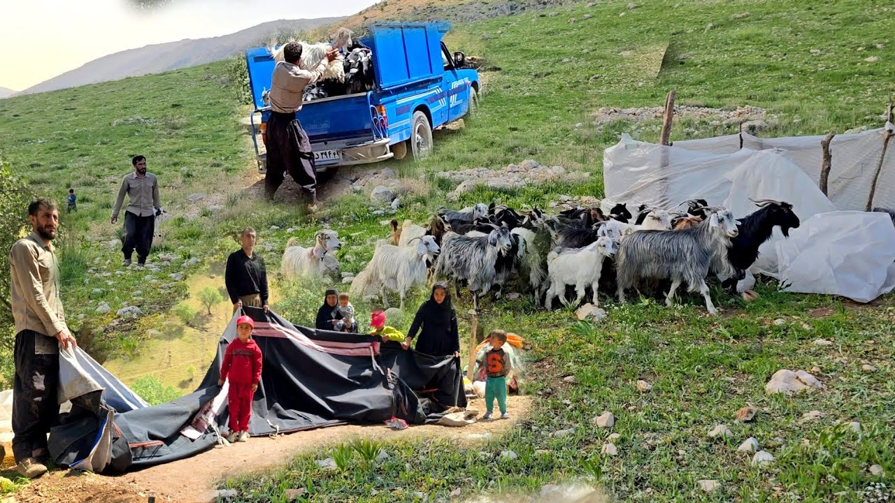Nomadic Life: Building a Shelter for Goats | Tent Living in Cold ...