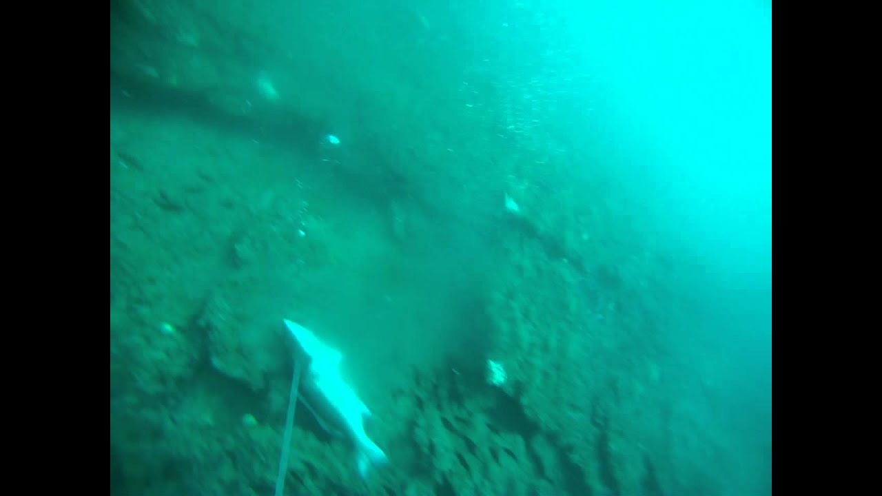 grouper PH - YouTube
