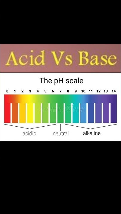 Acid vs Base||comparison between acid and base||Base vs Acid||example ...
