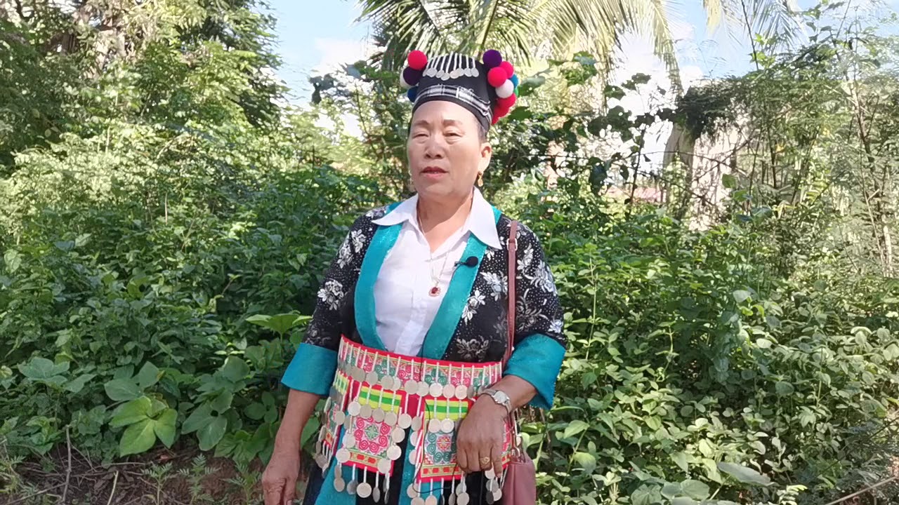 mee xiong hais kwv txhiaj plees nkauj nraum - YouTube