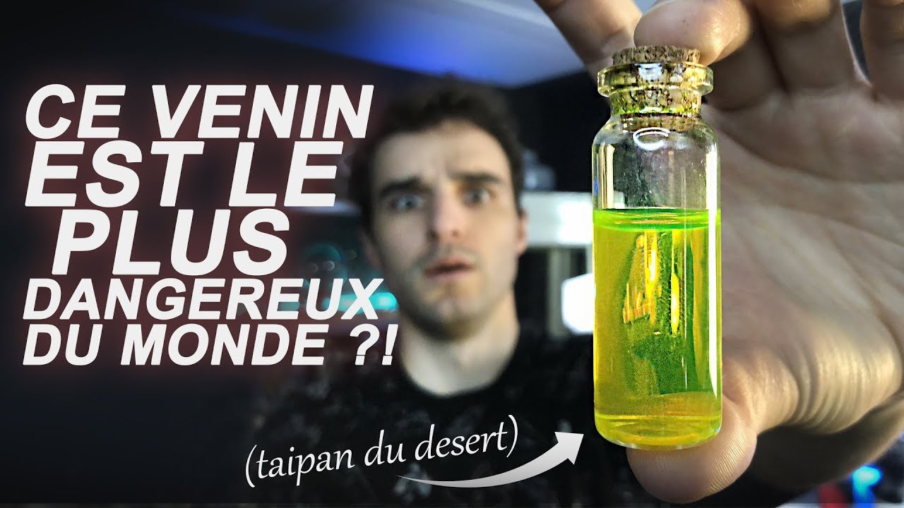 CE VENIN EST LE PLUS DANGEREUX DU MONDE !? Vrai ou Faux #71 - YouTube