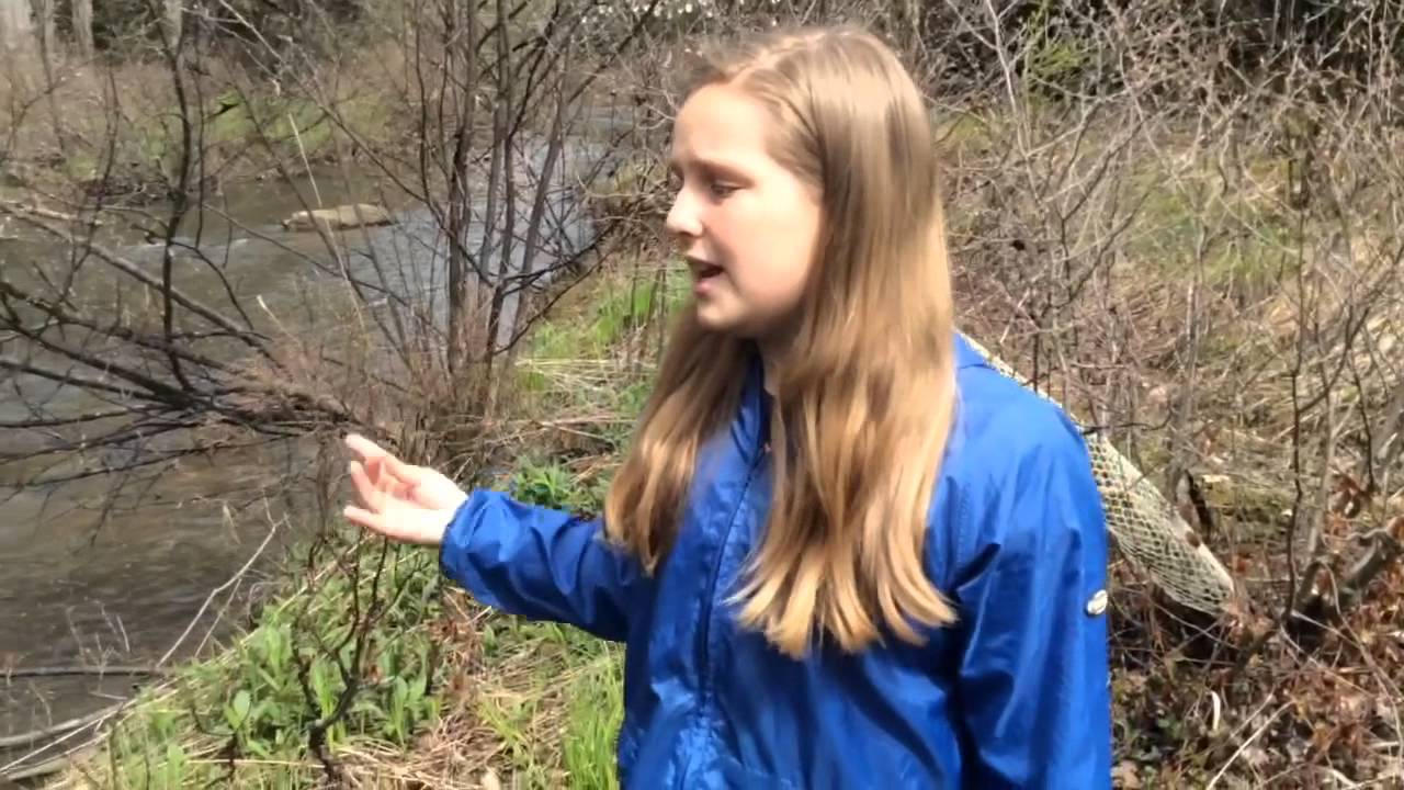 Crellin Elementary Ecology with Jan and Emily Part III - YouTube