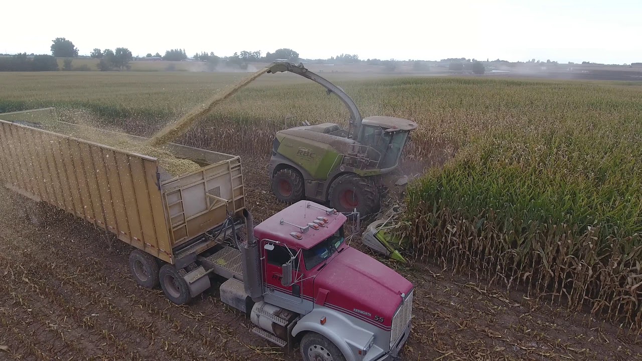 Rock Bottom Custom Corn 2019 - YouTube