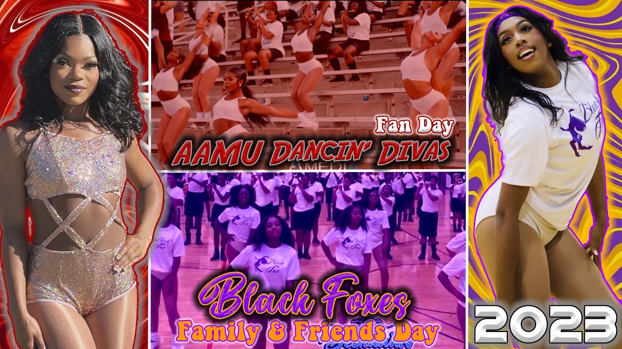AAMU Dancin’ Divas & PVAMU Black Foxes | Fan Day & Family & Friends Day | ️ ️💜💜 REVIEW - YouTube