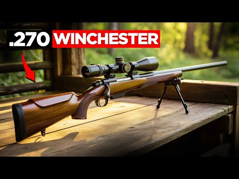 Top 10 Best .270 Winchester Bolt Action Rifles 2025