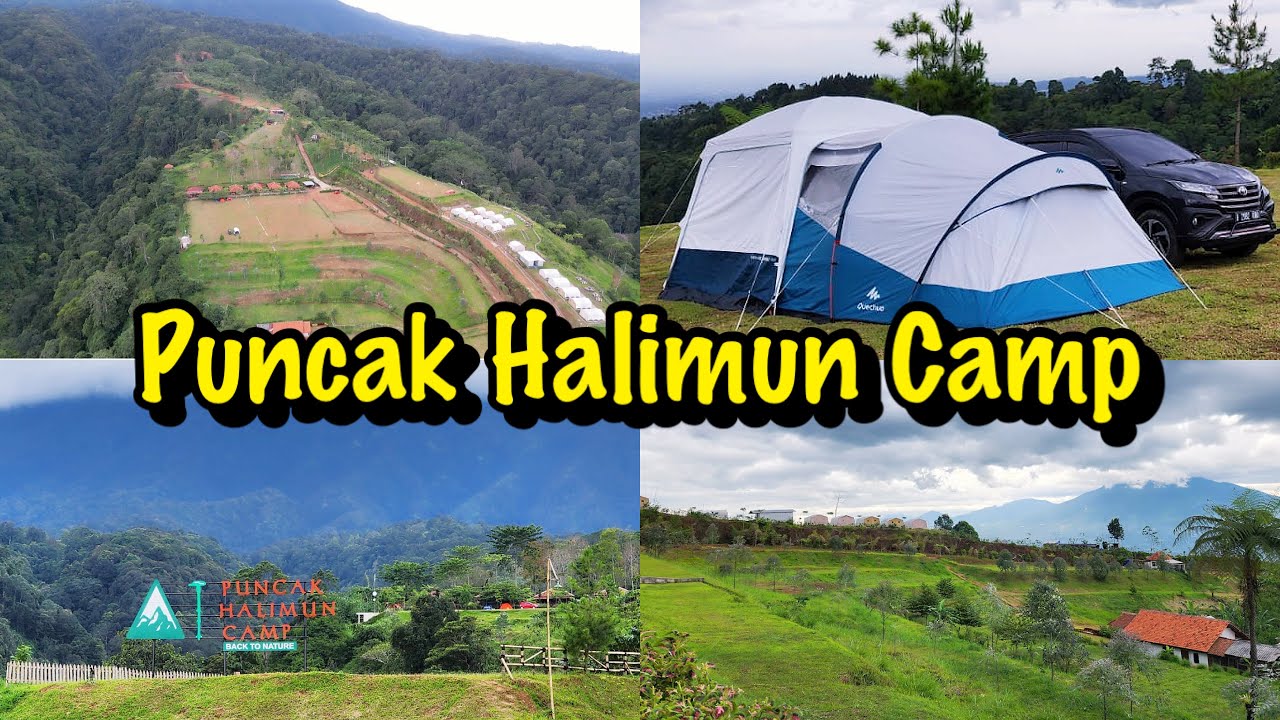 Camping Bebas Macet Musim Liburan ke Puncak Halimun Camp | Review ...