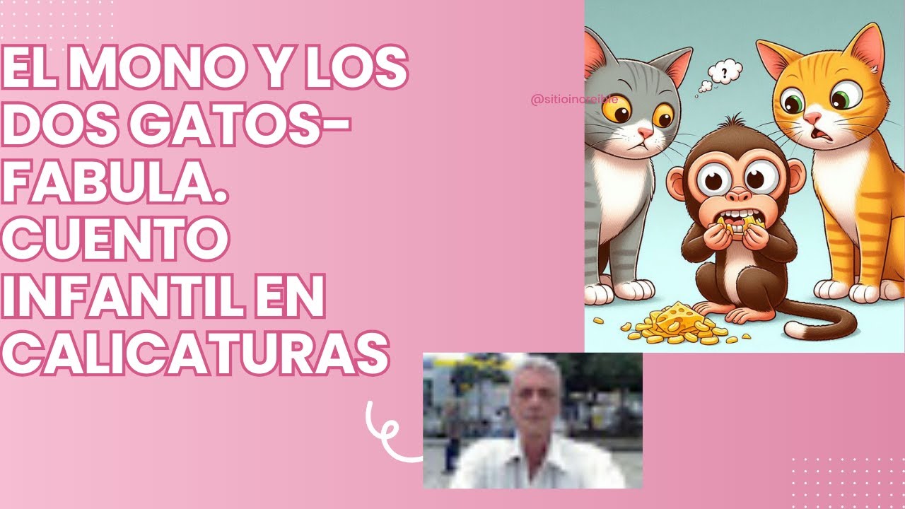El Mono y los Dos Gatos, cuento infantil, con vídeos, dibujos animados ...