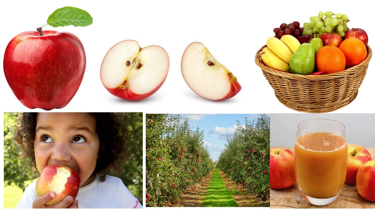 Language Development | Sentences on Apple 🍎 | Speech Therapy | Autism ...