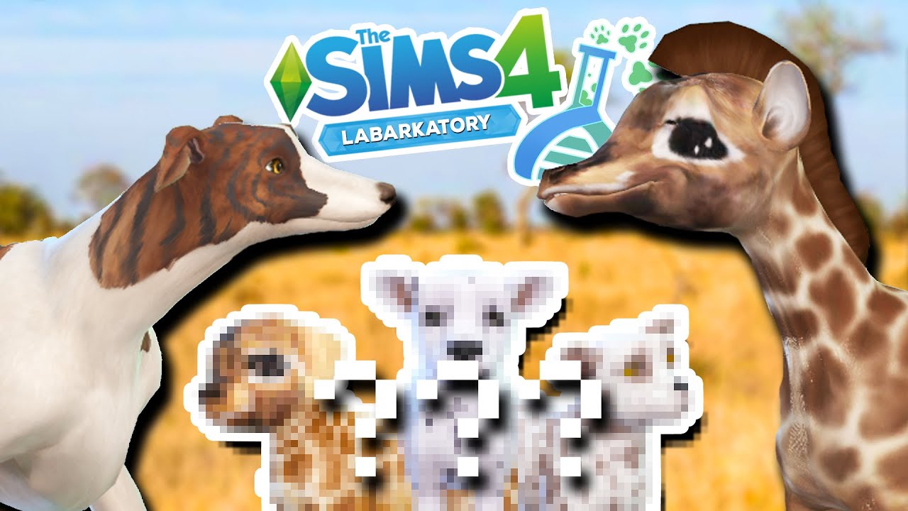 A Litter of BLURSED GIRAFFE x GREYHOUND Cross-Breeds?! 🦒💕🧬🐶 - YouTube