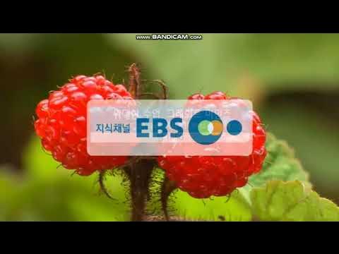 20221029 EBS1 방송순서영상(음악만 수정) - YouTube
