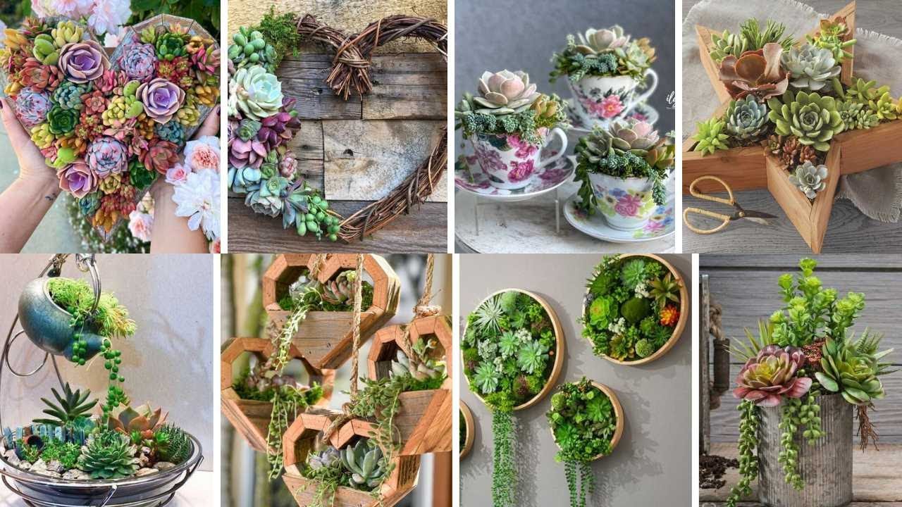 57 Beautiful and Creative Succulent Arrangements for Your Home Design ...
