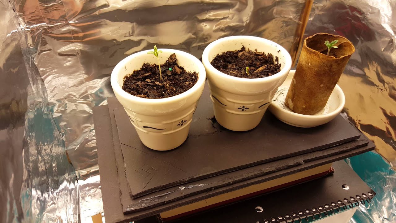 Micro stealth grow box update. Burn?!? FUCK - YouTube