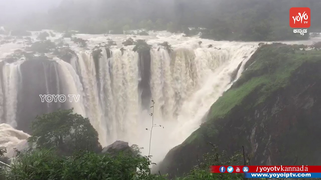 VIDEO : JOG FALLS SHIMOGA LATEST - KARNATAKA BEAUTIFUL WATERFALL - YOYO ...