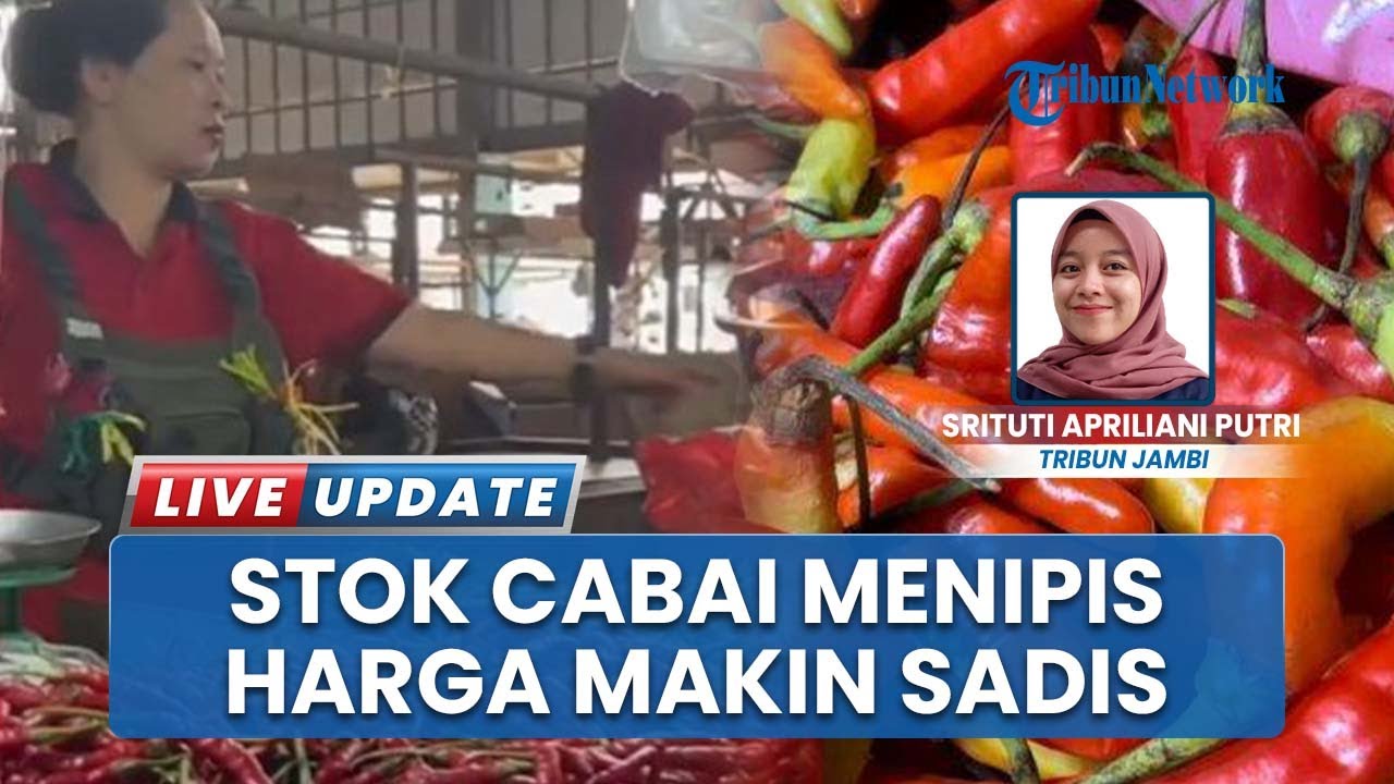 Gara-gara Stok Sedikit, Harga Cabai Setan Capai Rp 100 Ribu di Jambi sejak Awal Ramadhan - YouTube