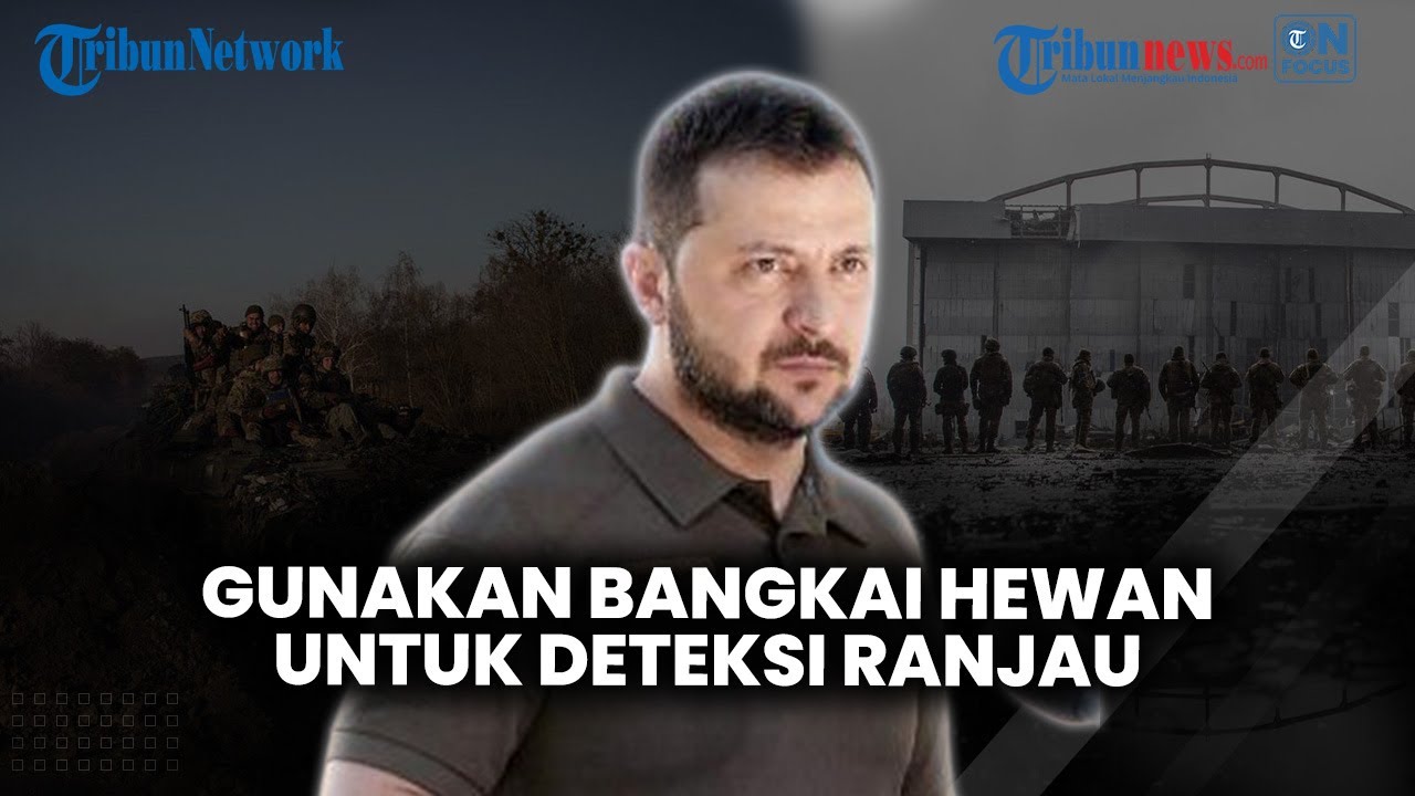 🔴Ukraina Gunakan Bangkai Hewan hingga Batang Fiberglass tuk Deteksi ...