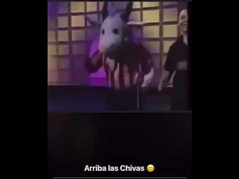 Chiva loca baila feliz feliz, Banda el mexicano. - YouTube