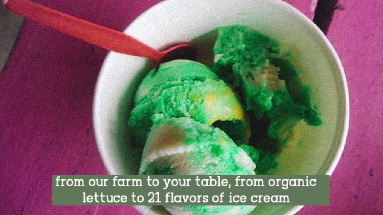 Lettuce Ice Cream in 21 flavors - YouTube