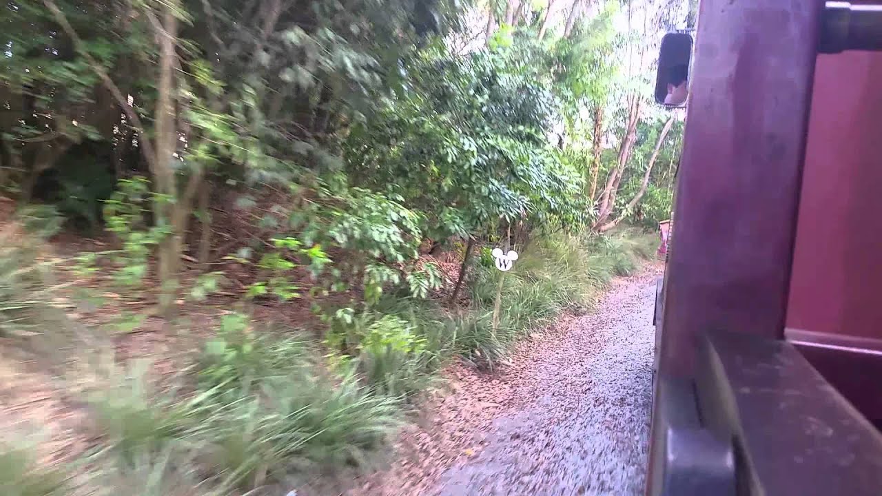 Wildlife Express Train at Disney's Animal Kingdom - YouTube