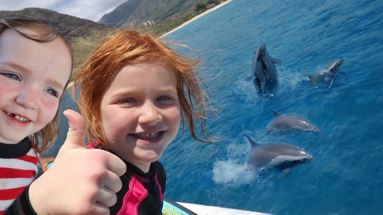 Swimming with WiLD DOLPHiNS!! Ocean Adventure to Snorkel with a Dolphin ...