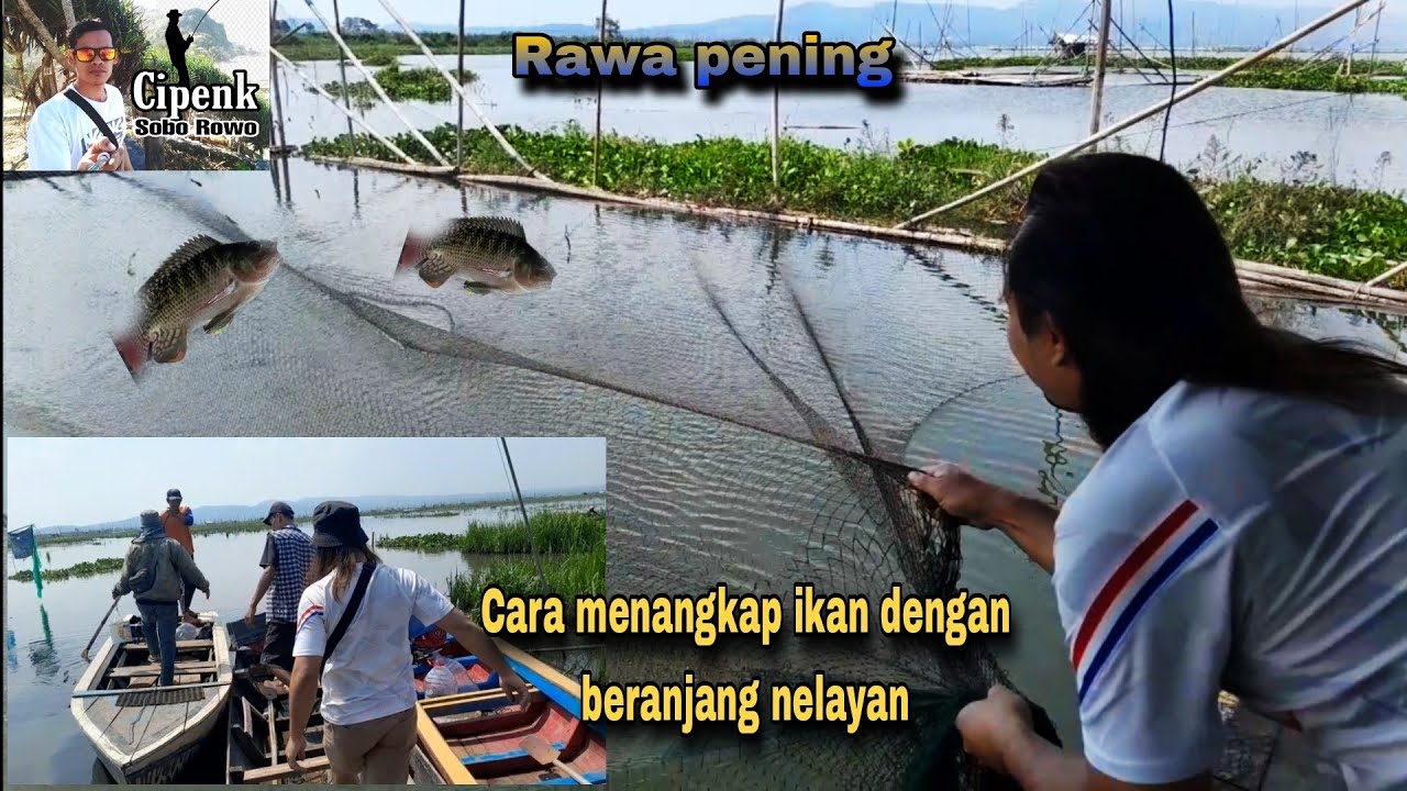 Tutorial menakap ikan dengan beranjang nelayan rawa pening - YouTube