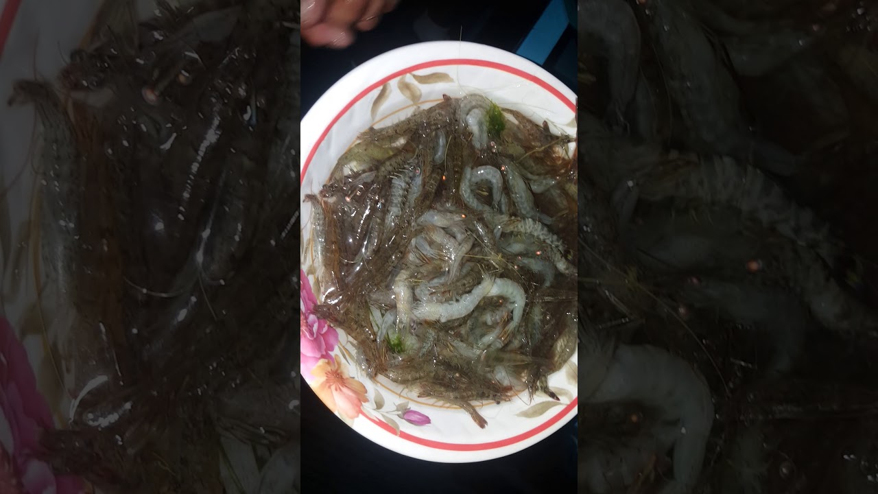 Jumping salad - YouTube