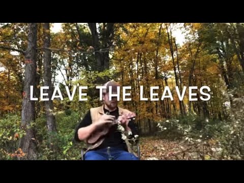 Leaves the Leaves song - YouTube
