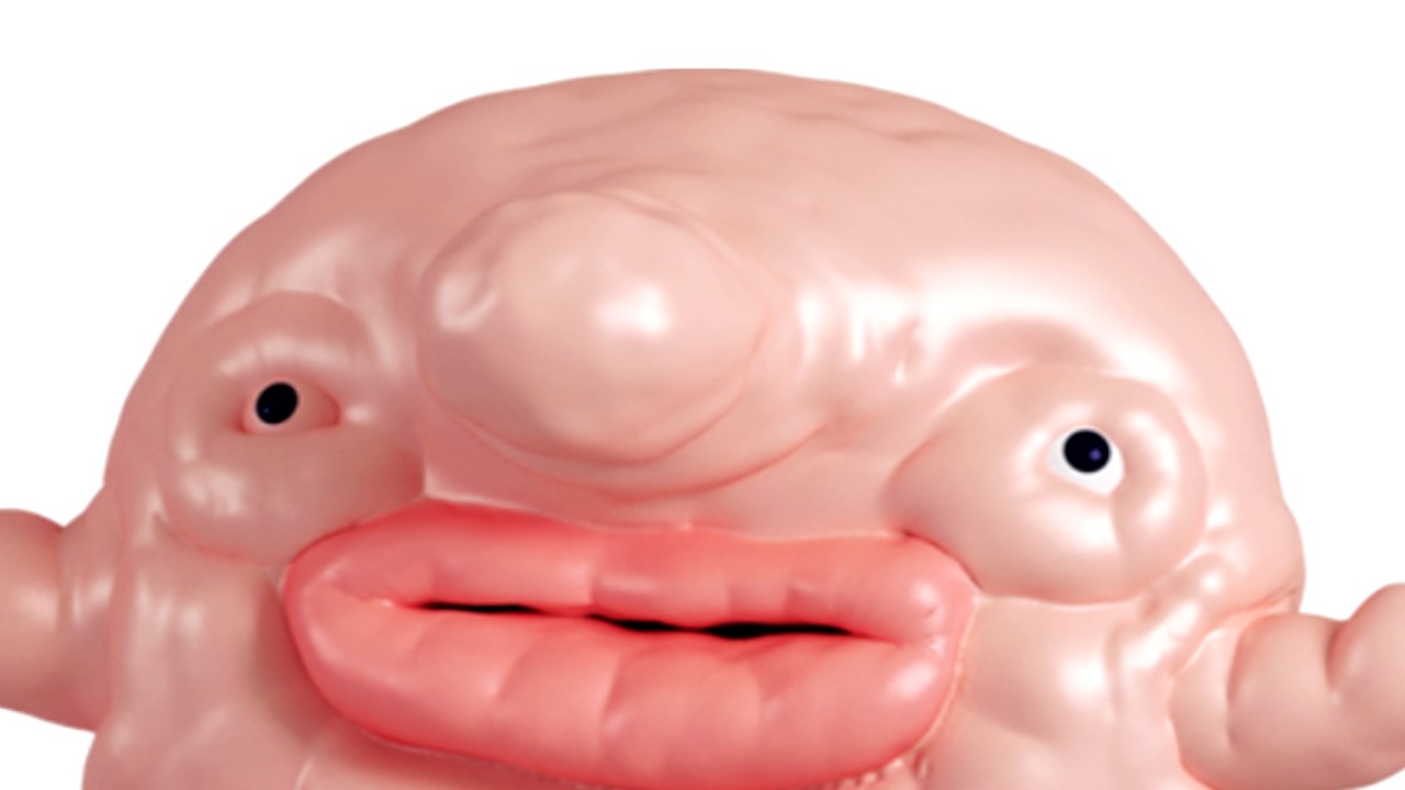 a good collab | original "meme?" - YouTube