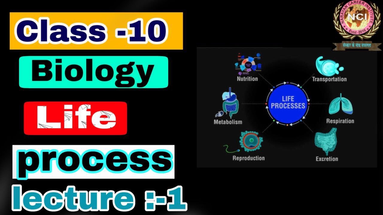 Life Process CBSE Class-10 Biology Lecture-1 - YouTube
