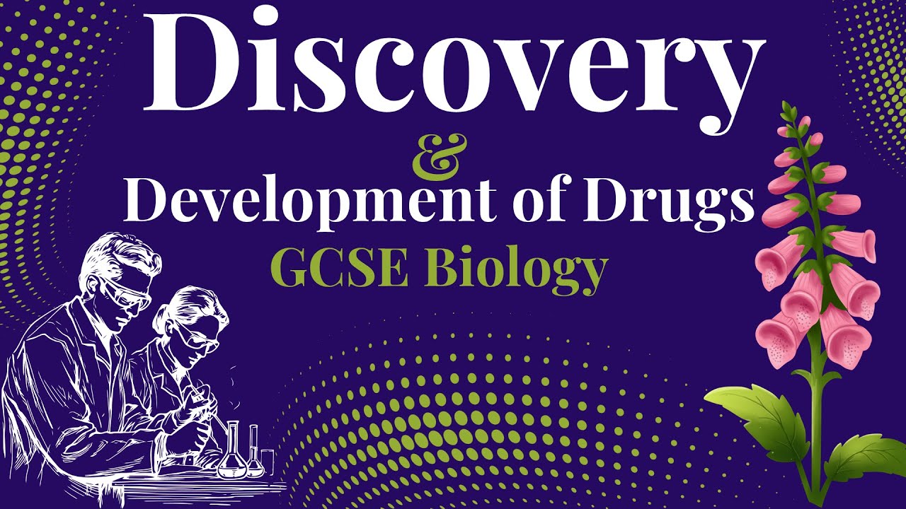 Drug Discovery and Trial AQA GCSE Biology Revision - YouTube