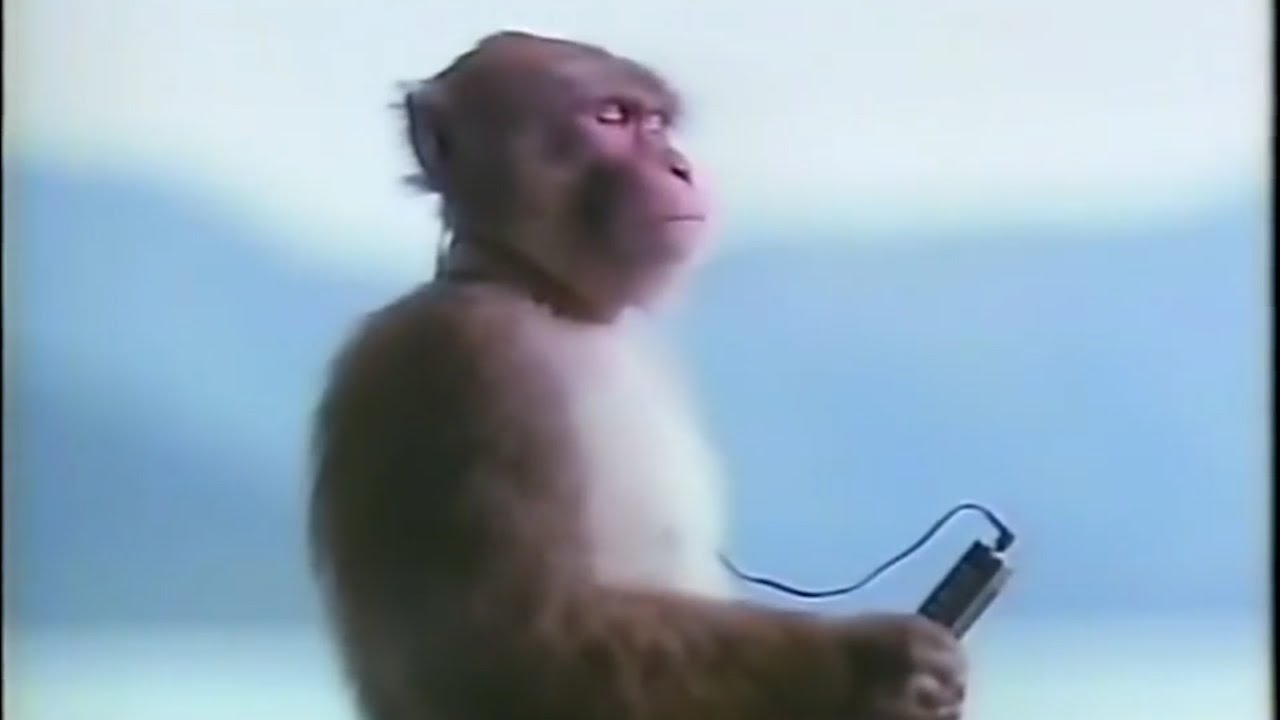 Monkey Pt. 2 - microwave394 - YouTube