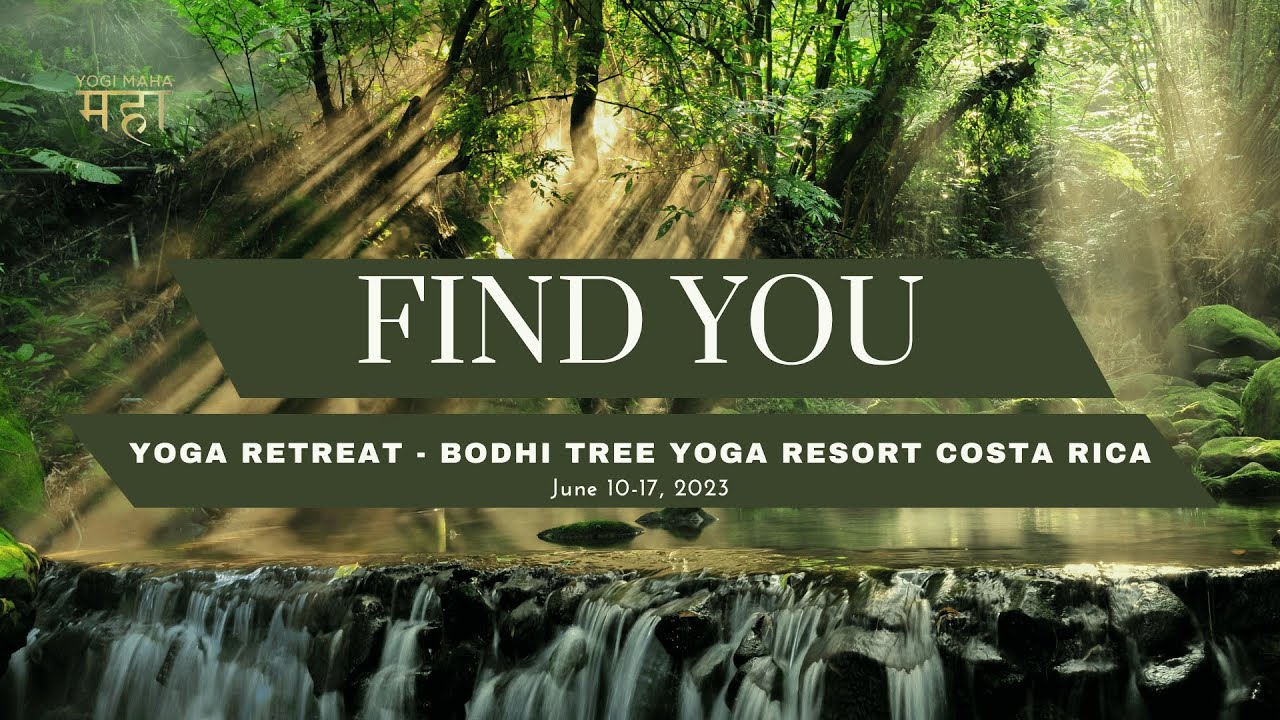 yoga-retreat-in-bodhi-tree-costa-rica-youtube