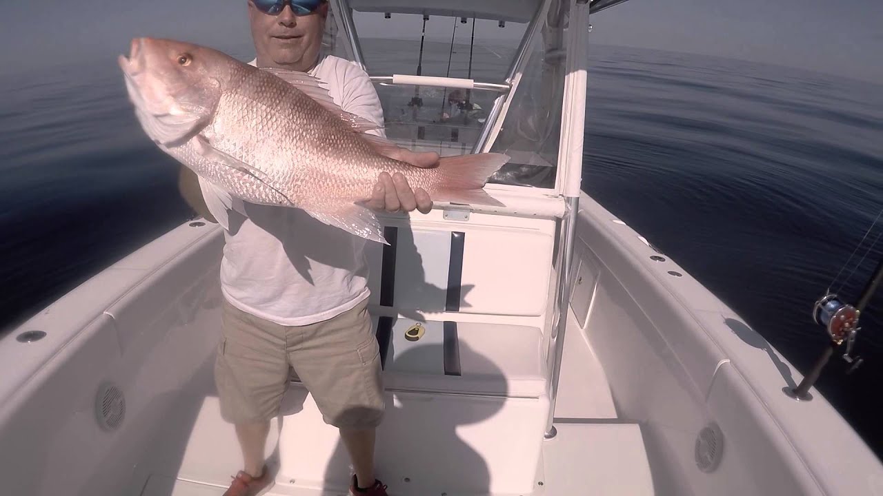 ARS (American Red Snapper) Fishing Gulf of Mexico 2015 - YouTube