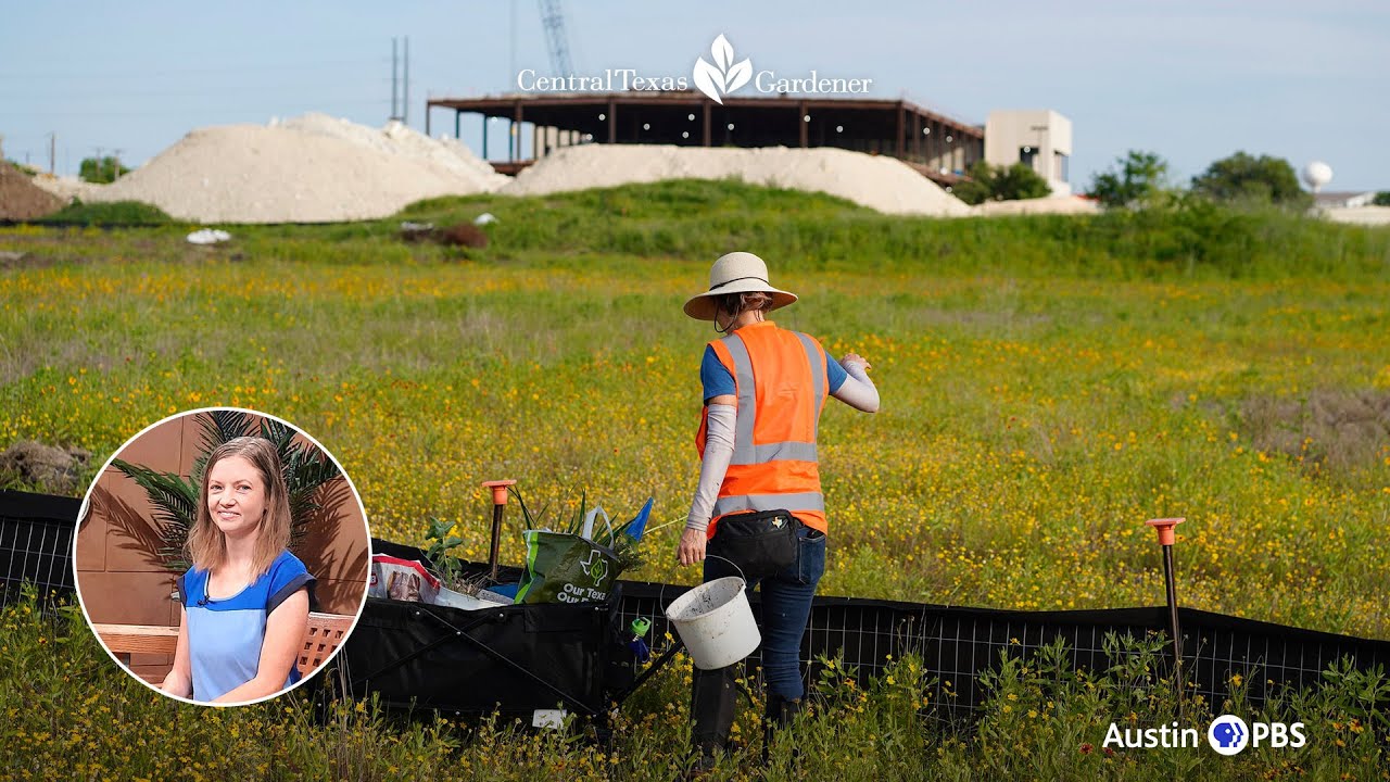 Native Plant Rescue: Ashley Landry - YouTube
