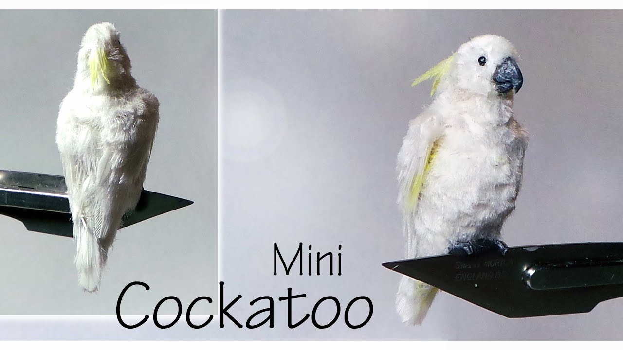 Miniature Cockatoo - Polymer Clay Tutorial - YouTube