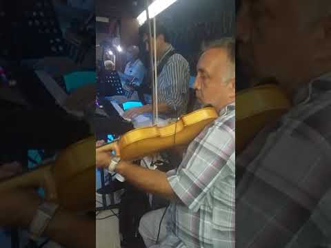GÜL Dudaklim