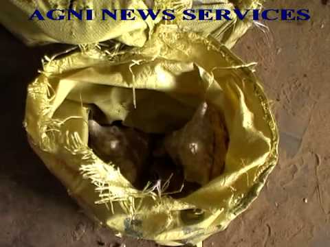 MANDAPAM ... 36 BAGS OF CONCH SHELLS SEIZED - YouTube