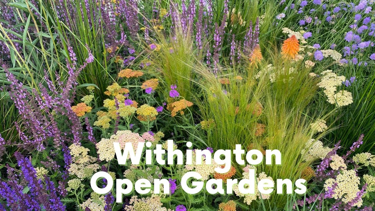 Explore the enchanting beauty of Withington's Open Gardens - YouTube
