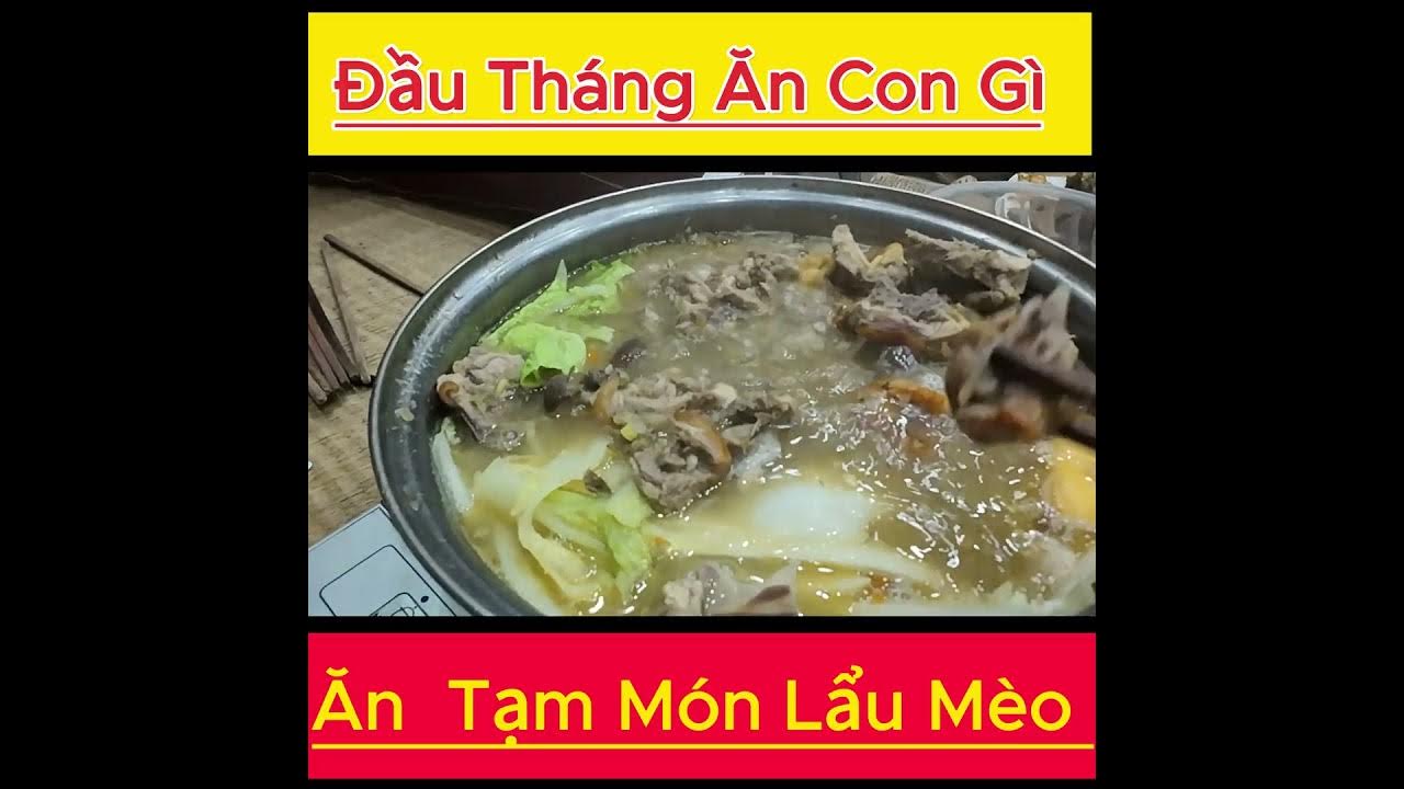 Mùng Một Ăn Lẩu Mèo - YouTube