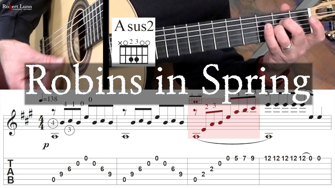 Robins in Spring - Full Tutorial with TAB - Robert Lunn - YouTube
