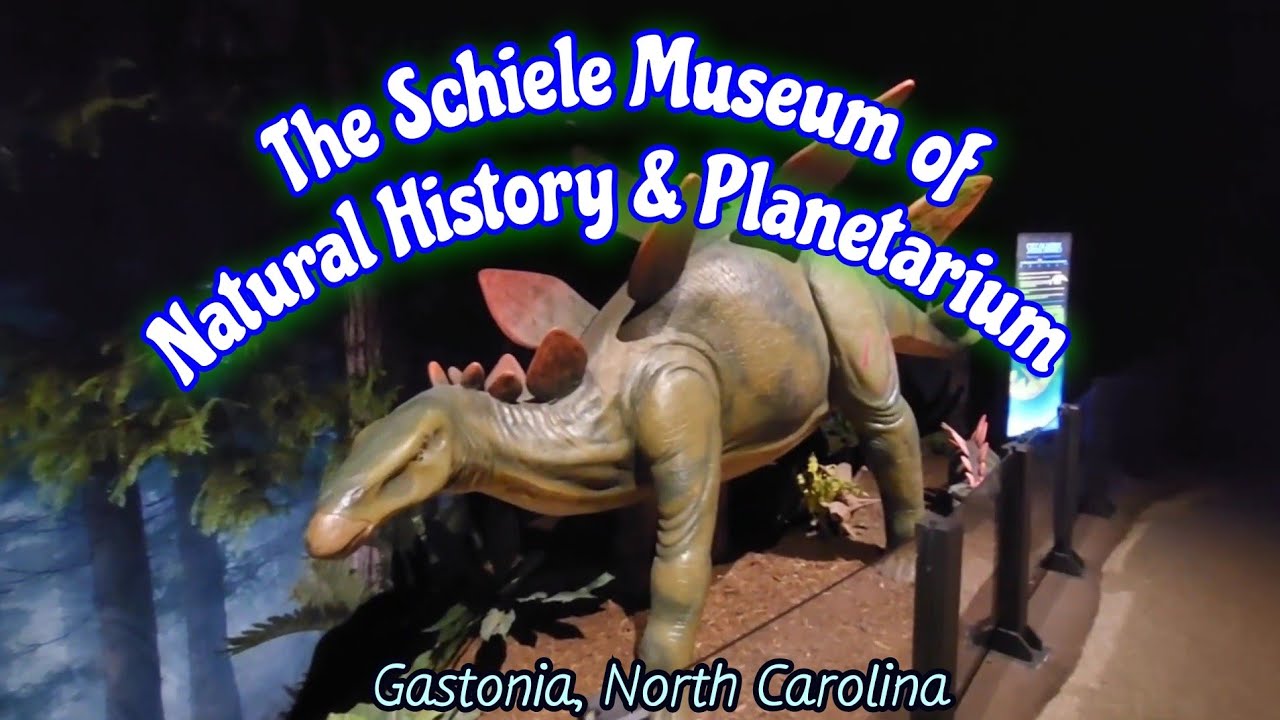 The Schiele Museum of Natural History & Planetarium | Gastonia, NC ...