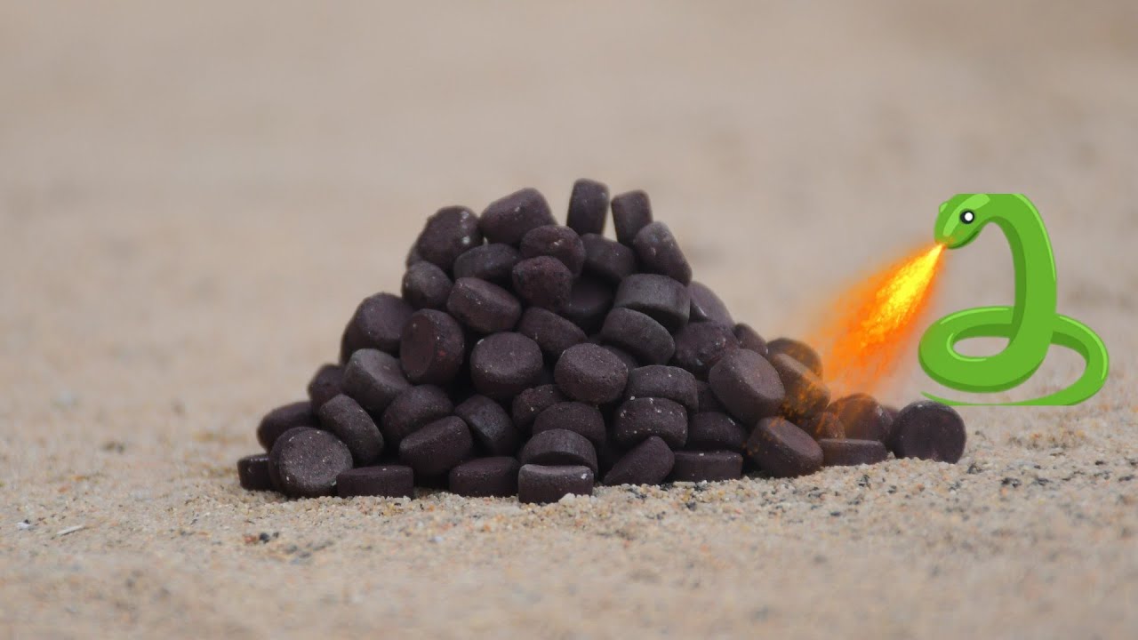 SNAKE BOMBS EXPERIMENT - सांप की गोलियों मे ऐसा होगा सोचा नहीं था 😱 ...