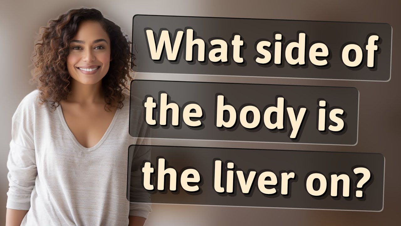 What side of the body is the liver on? - YouTube