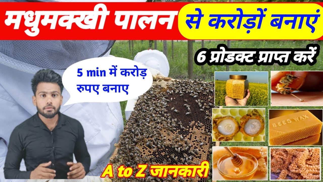 मधुमक्खी पालन की पूरी जानकारी 🐝🐝| Madhumakhi palan | bee keeping ...