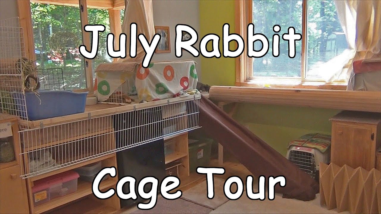 July Rabbit Cage Tour - YouTube